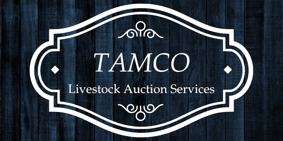 The Auction Management Company